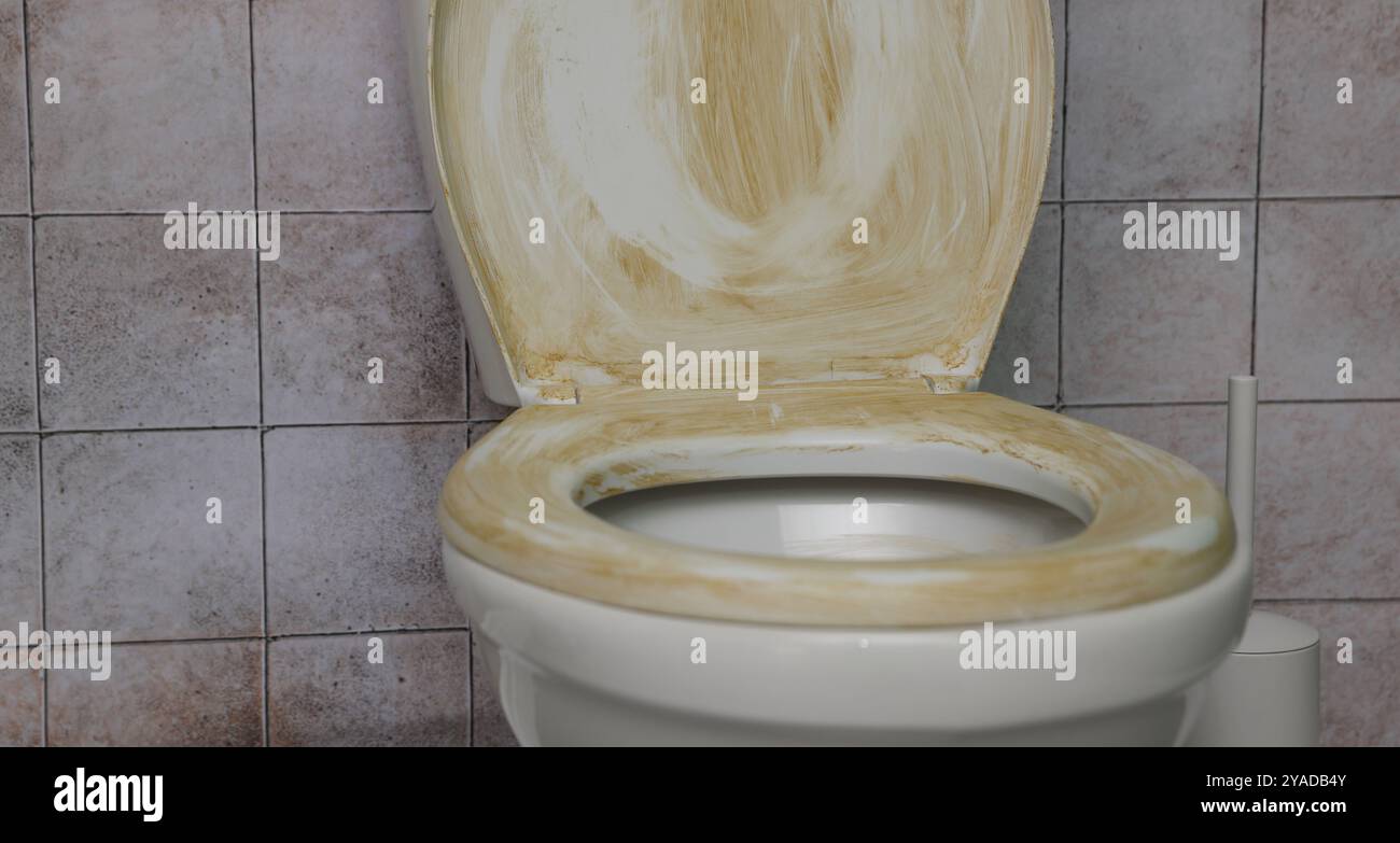 Disgusting toilet hi-res stock photography and images - Alamy