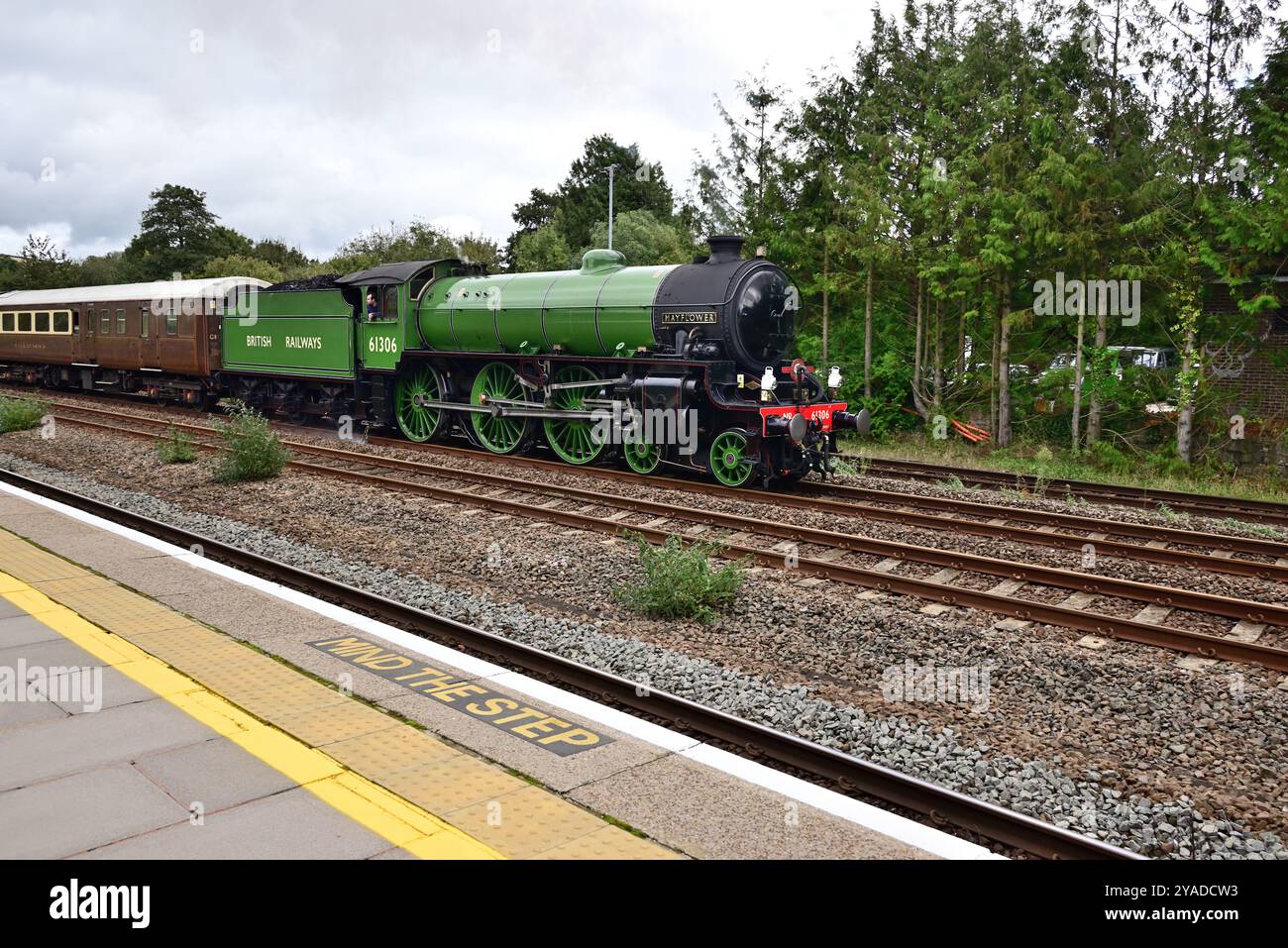 LNER Thompson Class B1 No 61306 Mayflower passing Totnes, South Devon ...
