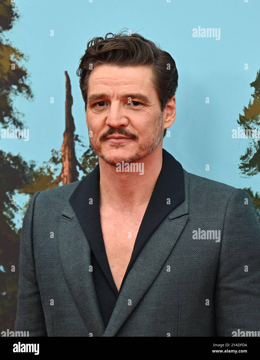 LONDON, UK. 13th Oct, 2024. Pedro Pascal attends "The Wild Robot ...