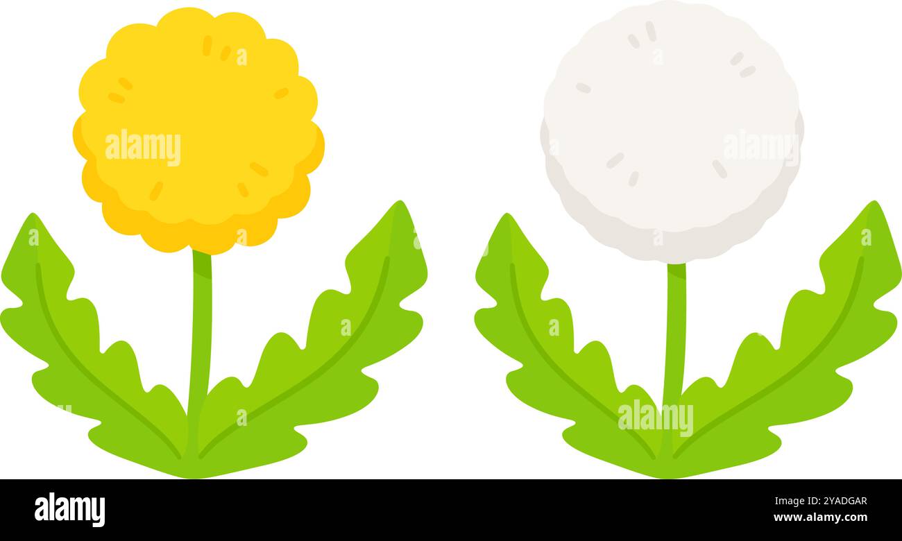 Cute cartoon dandelion, yellow flower and white puff. Simple flat ...