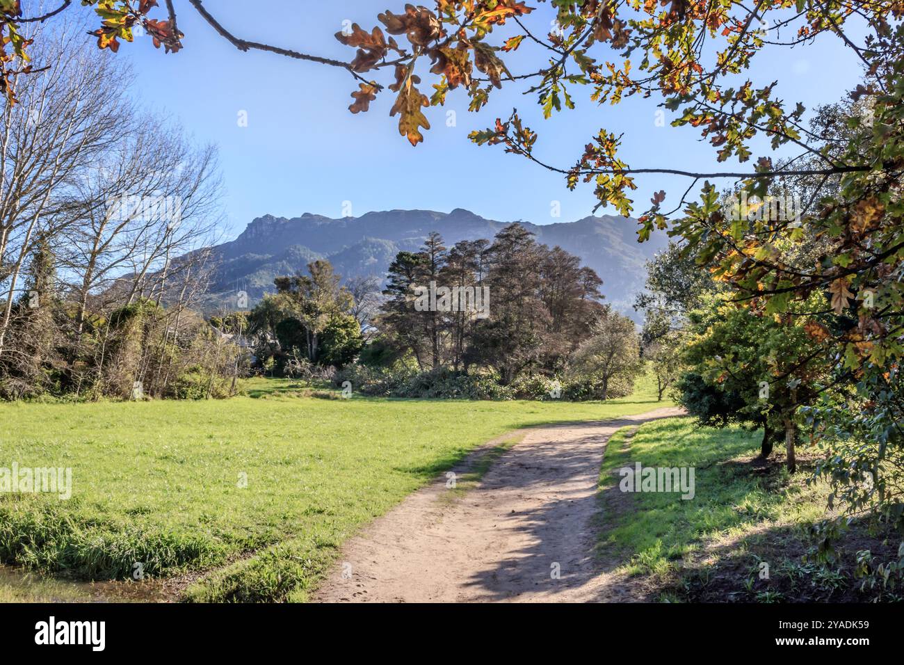Path through beautiful botanical gardens surrounded in mountains trees ...