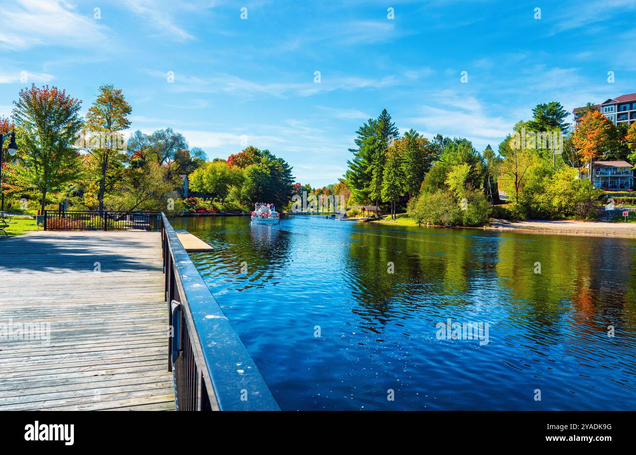 Autumn Muskoka River with tour boat Lady Muskoka in water, canoes ...