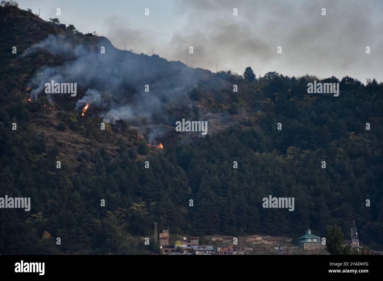 Flames and smoke rise from the Zabarwan hills during a forest fire ...
