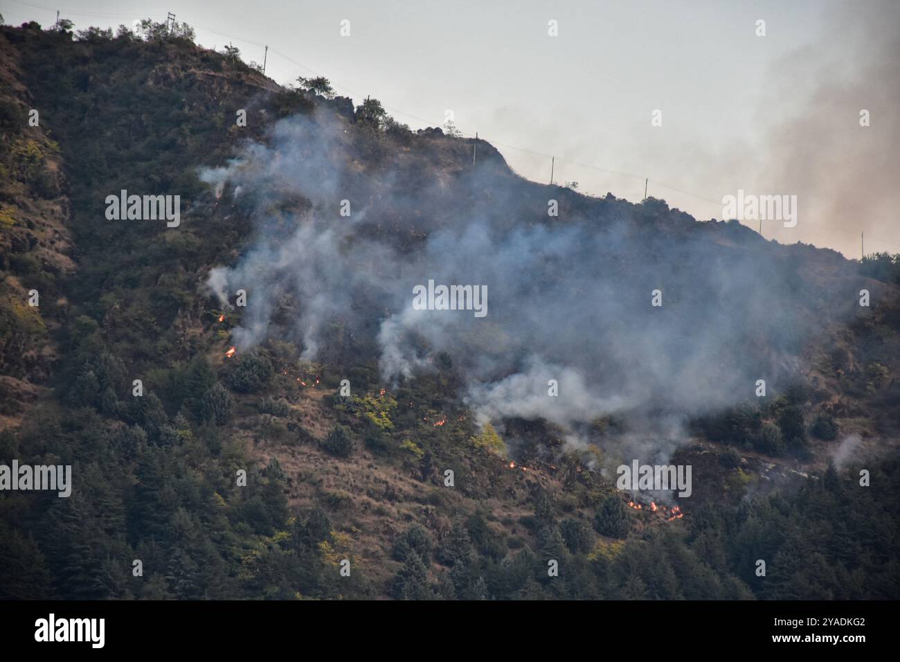 Flames and smoke rise from the Zabarwan hills during a forest fire ...