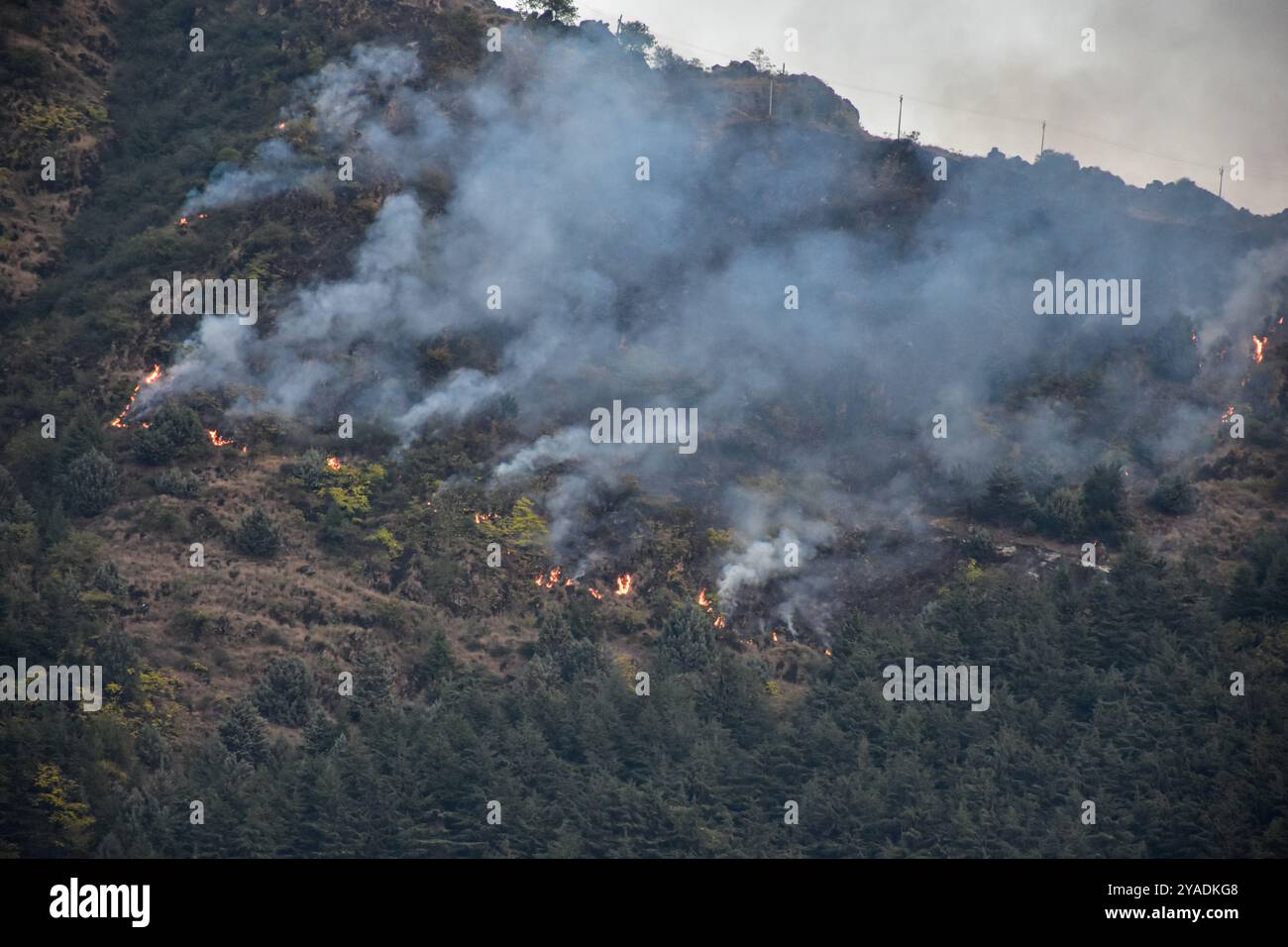 Flames and smoke rise from the Zabarwan hills during a forest fire ...