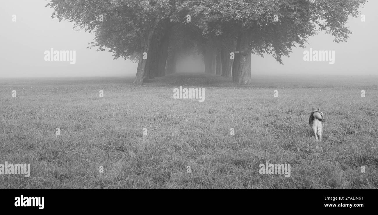 Lost landscapes Black and White Stock Photos & Images - Alamy