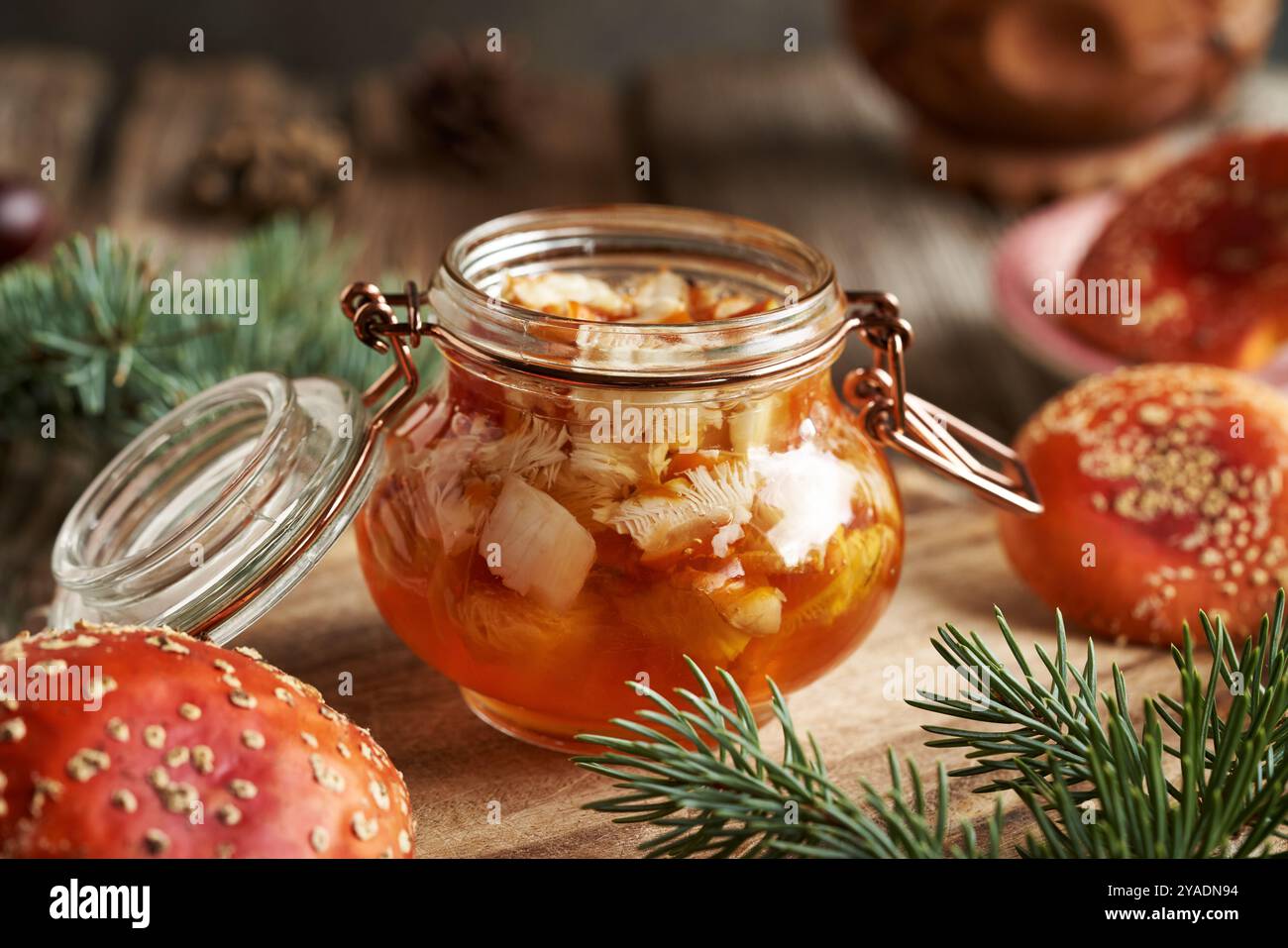 Preparation of herbal tincture from red fly agaric or amanita mushroom ...