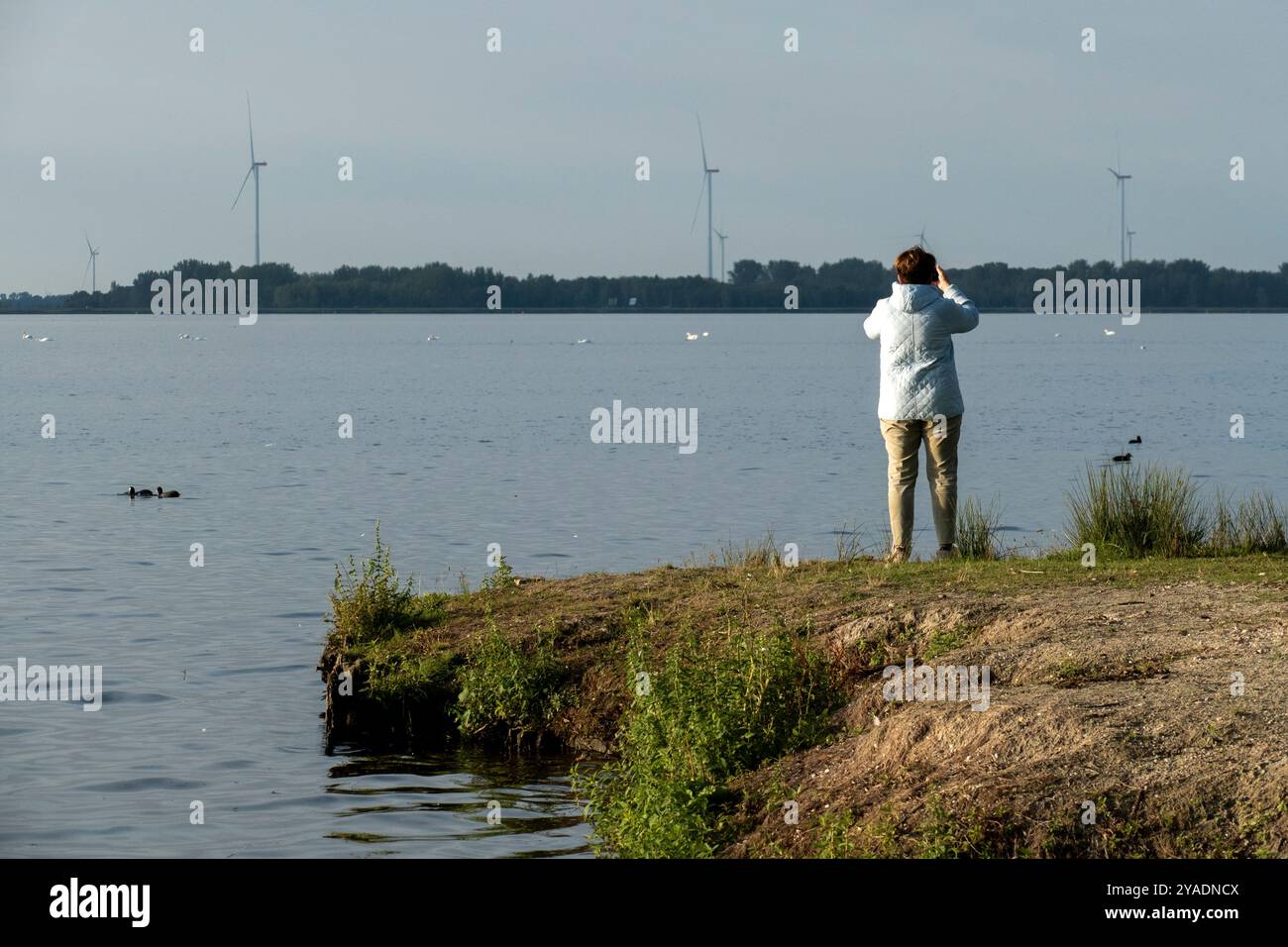 Frau steht im wasser am see hi-res stock photography and images - Alamy
