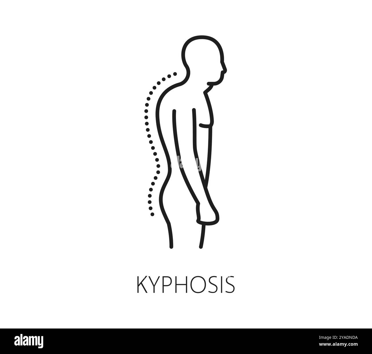 Kyphosis line icon for chiropractic medicine and spine curvature disease, vector pictogram ...