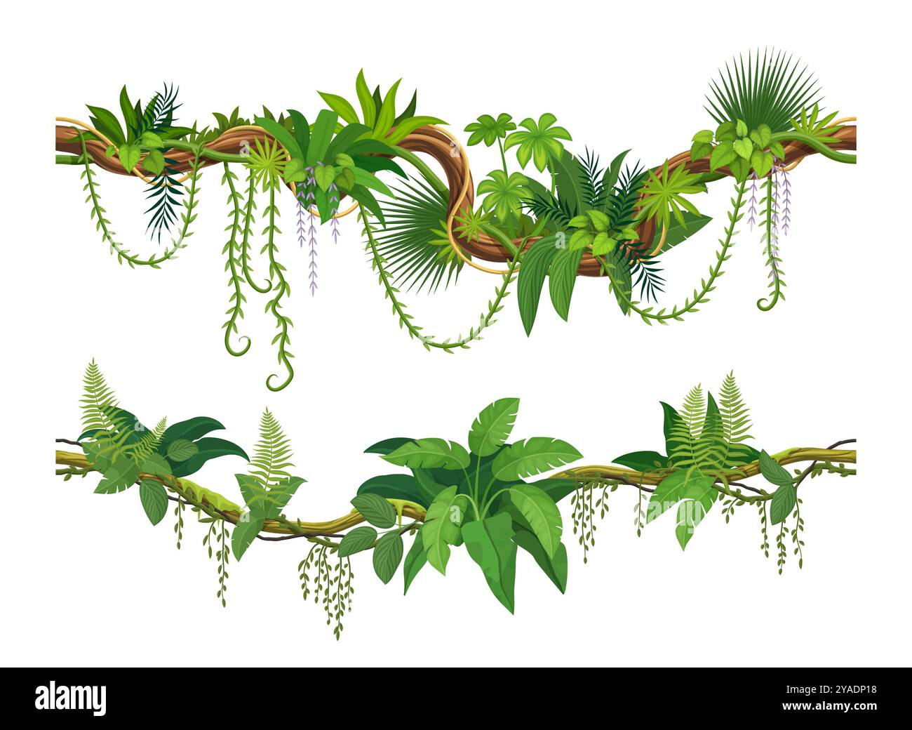 Lianas of tropical jungle forest, or ivy vine branches with monstera ...