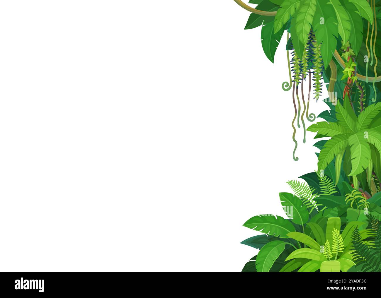 Tropical jungle lianas background border line. Vector branches of ...