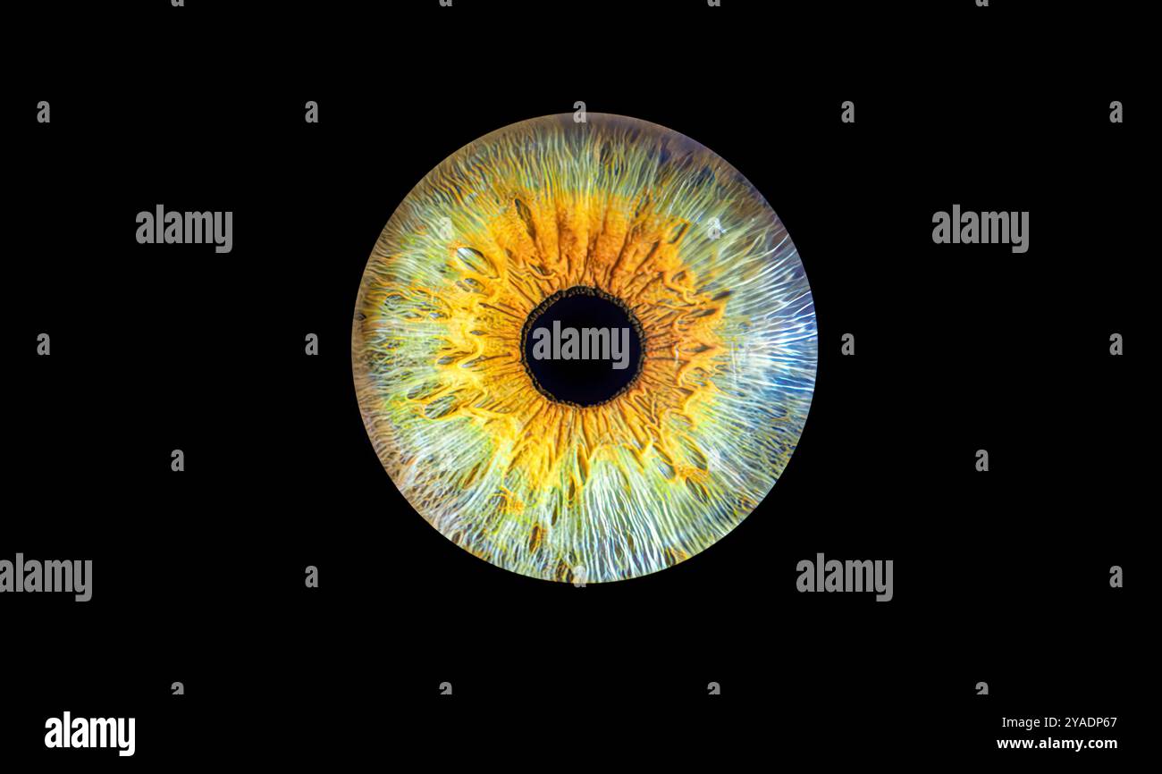 A Vibrant Abstract Eye Design with a Beautiful Colorful Texture that ...