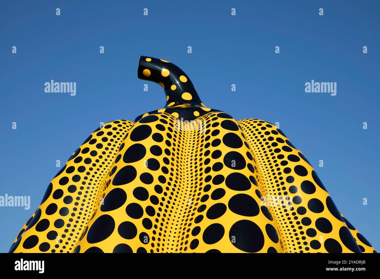 View of the top of Yayoi Kusama's Pumpkin art installation at the Round ...