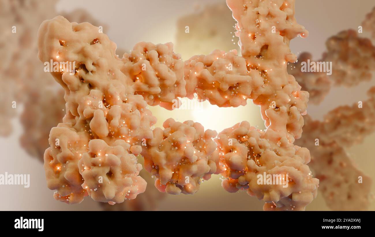 Weight loss. fat burn in human tissue, Adipose connective tissue, fat ...