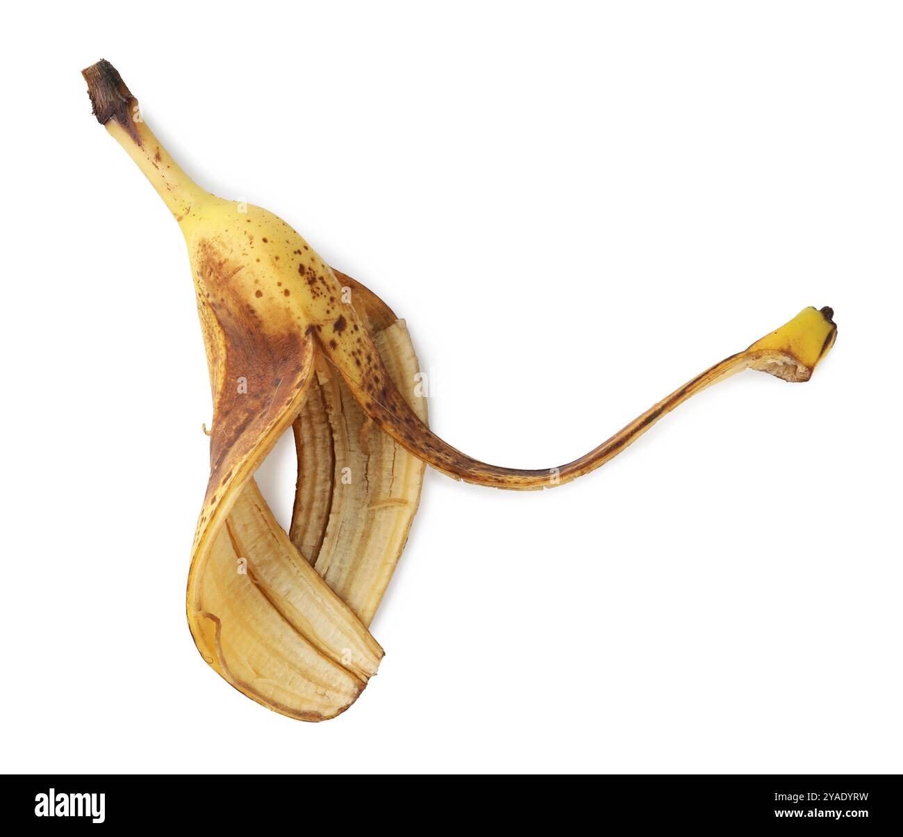 Top spots Cut Out Stock Images & Pictures - Alamy