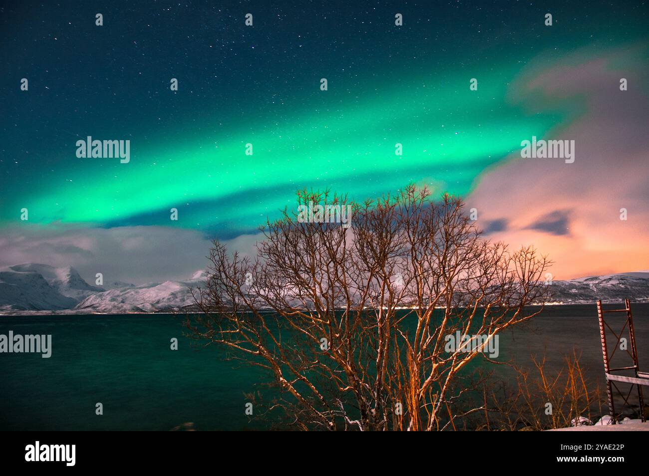 Winter in Tromso Stock Photo - Alamy