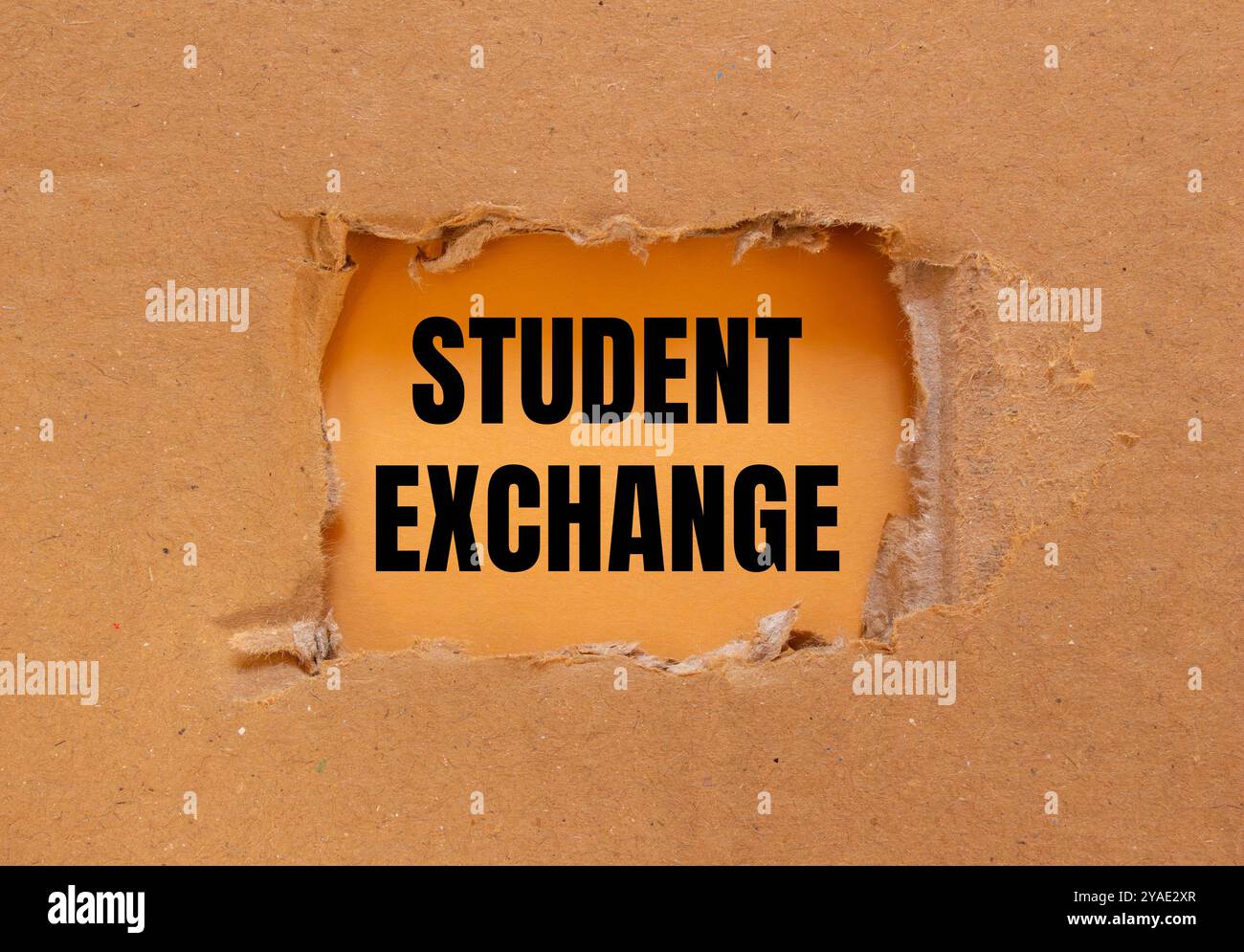 Student exchange message written on ripped torn cardboard paper with ...