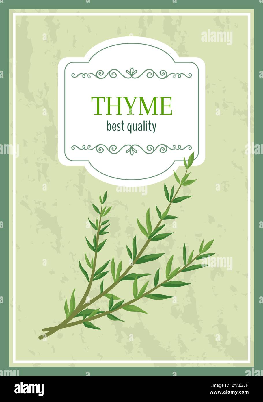 Herbal leaves icons. Green thyme twig. Organic culinary herb ...