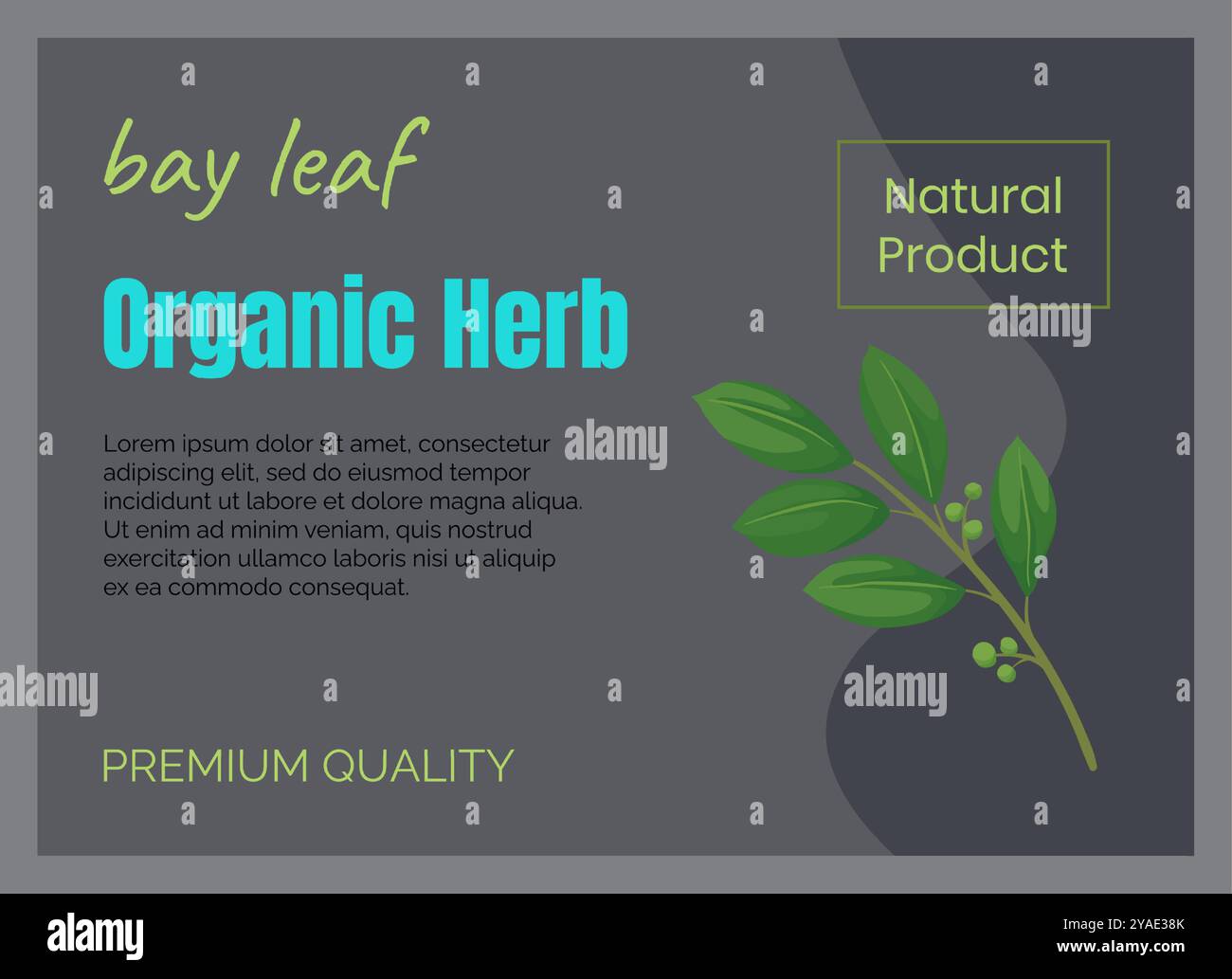 Herbal leaves icons. Organic herb. Natural bay leaf. Green twig ...