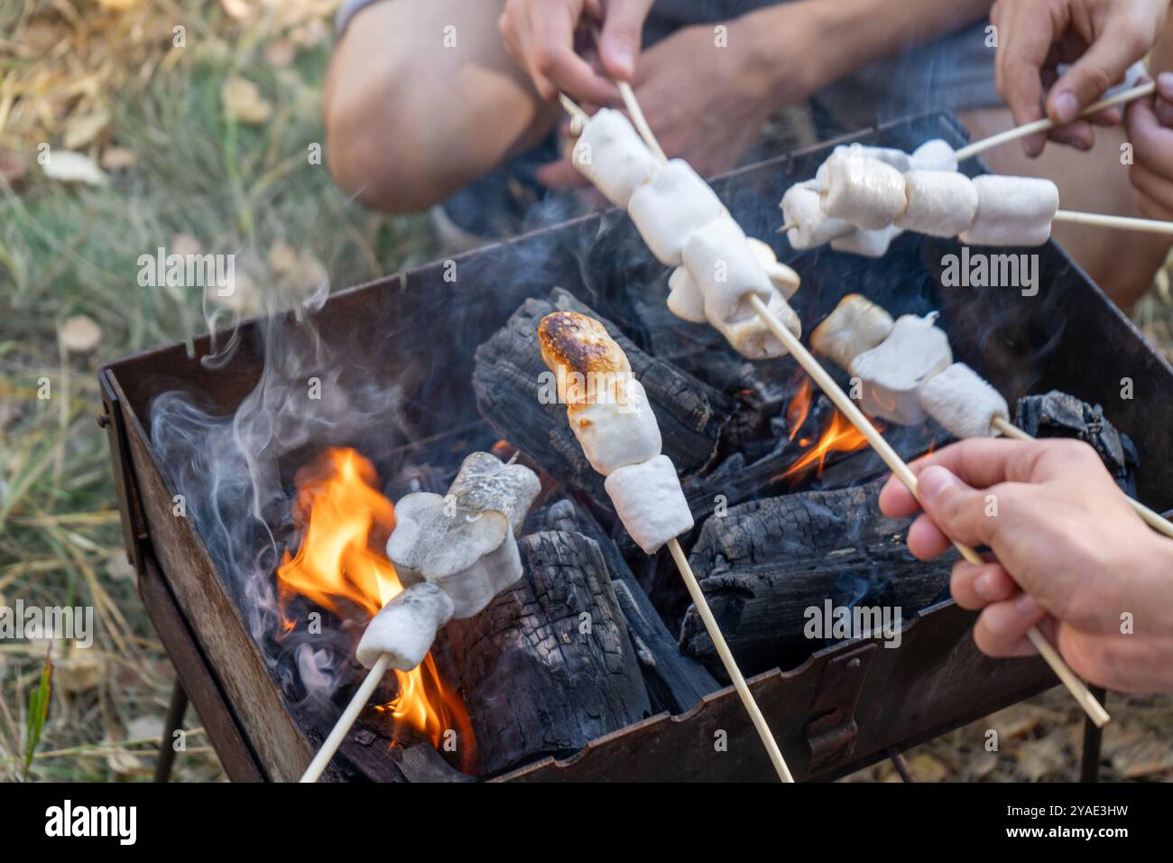 Roasting marshmallows over a campfire while camping. Hands of friends ...