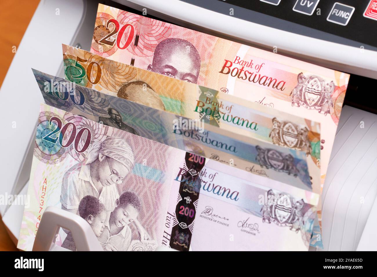 Botswana money - pula in the counting machine Stock Photo - Alamy