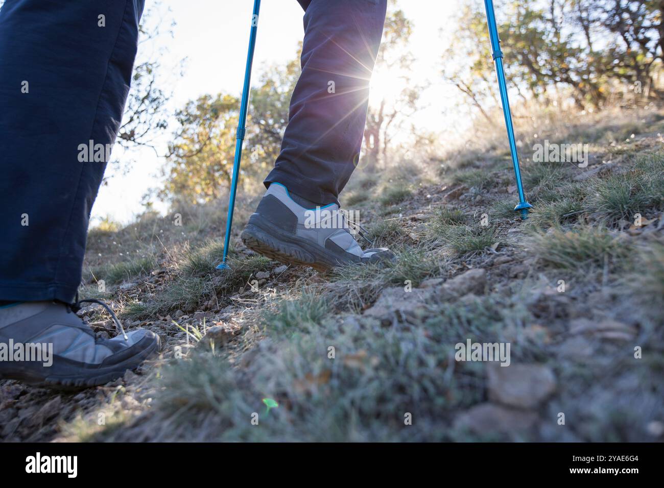 Hiking walking stick hi-res stock photography and images - Alamy