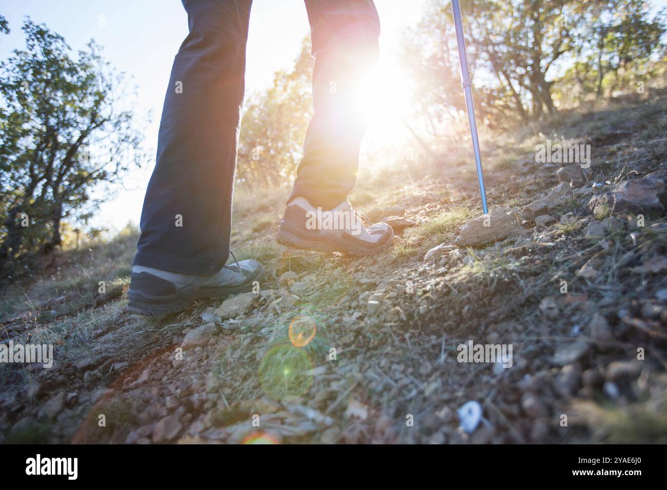 Hiking walking stick hi-res stock photography and images - Alamy