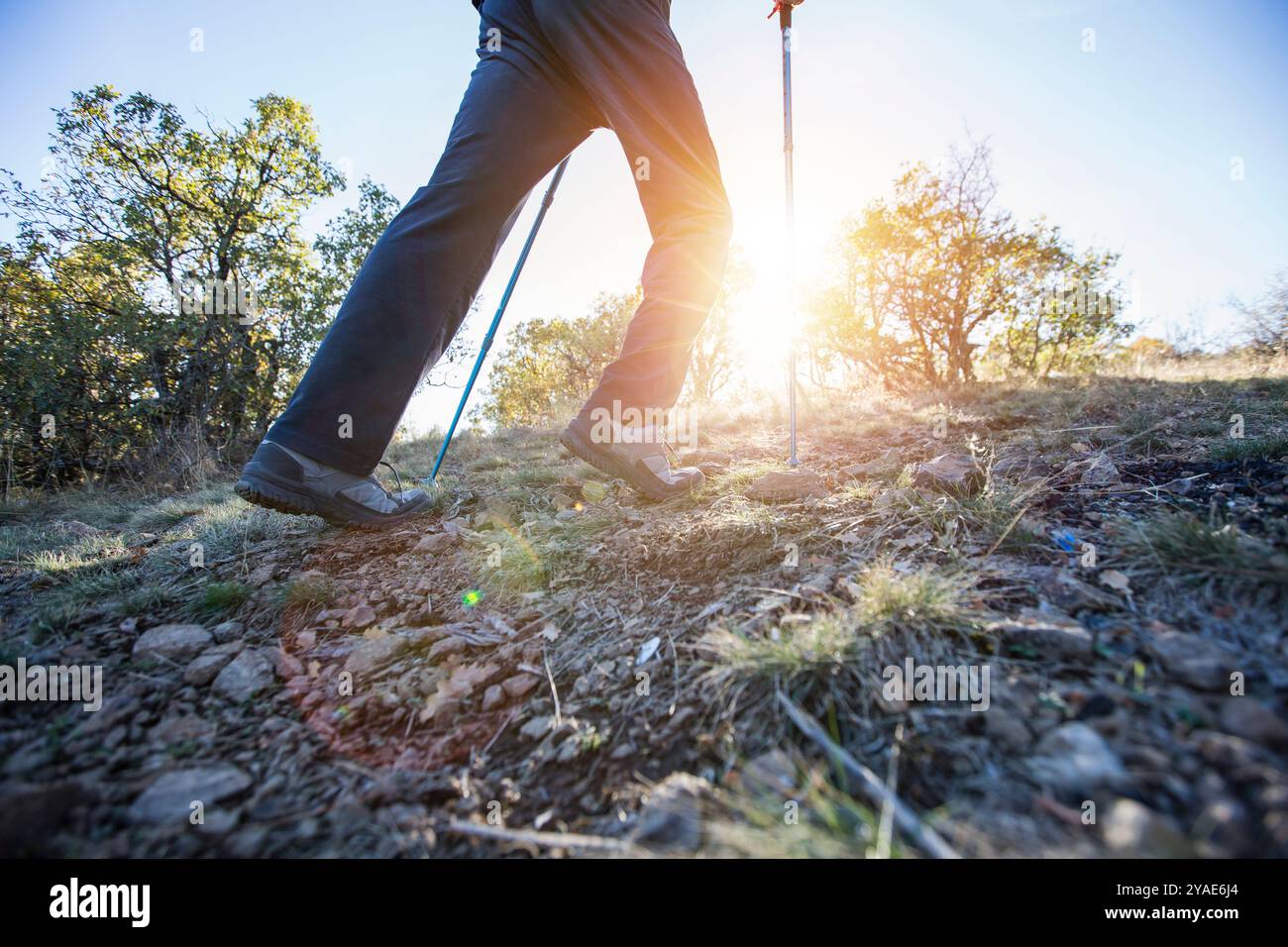 man hiking with walking stick Stock Photo - Alamy