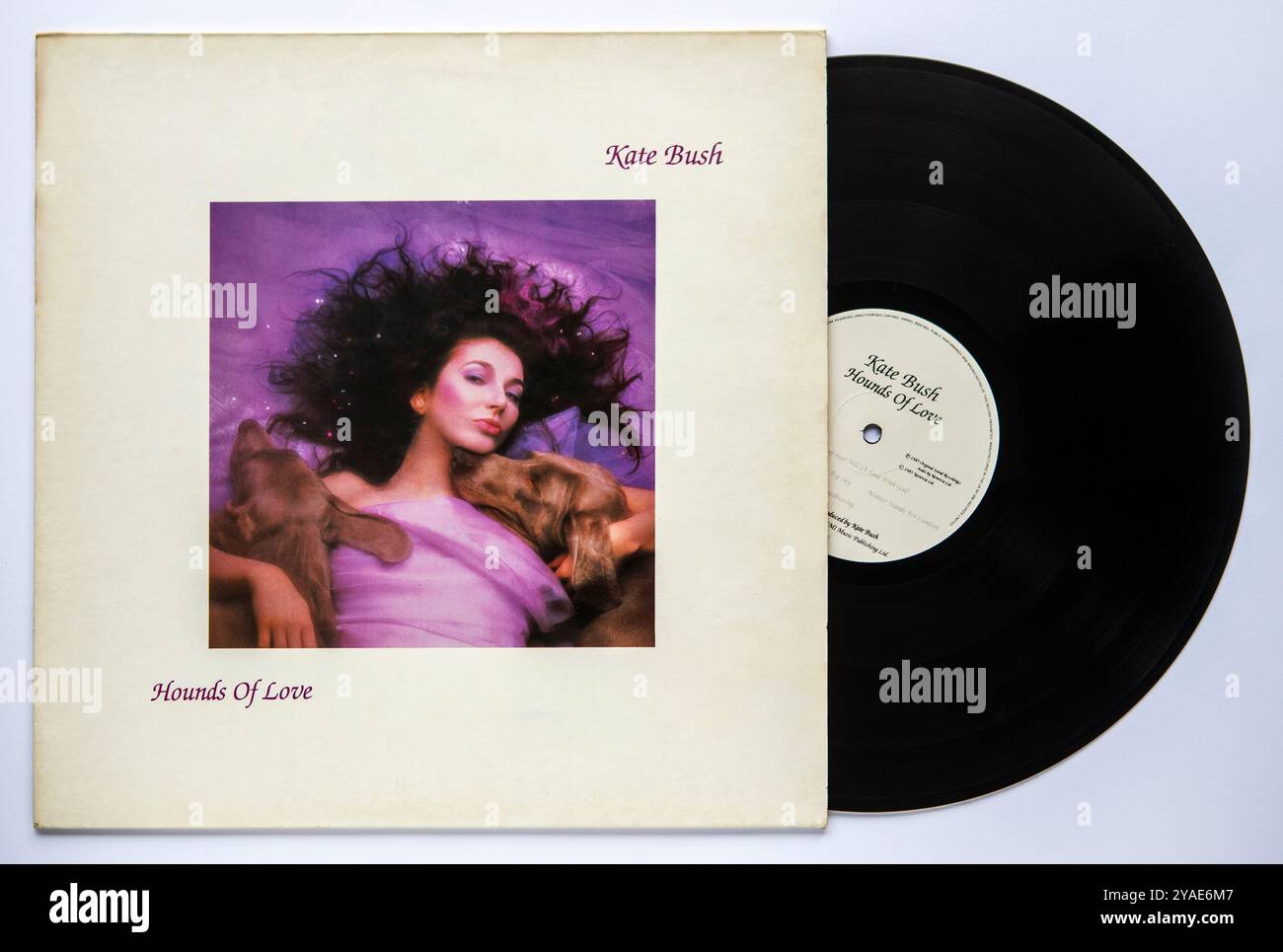 LP cover and vinyl of Hounds of Love, the fifth studio album by British ...