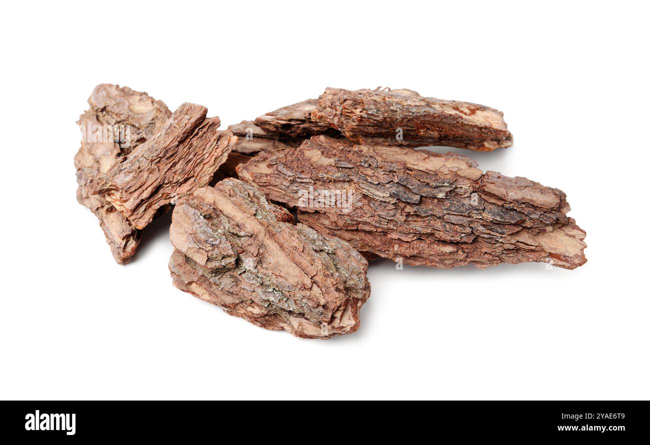Pieces of tree bark on white background Stock Photo - Alamy