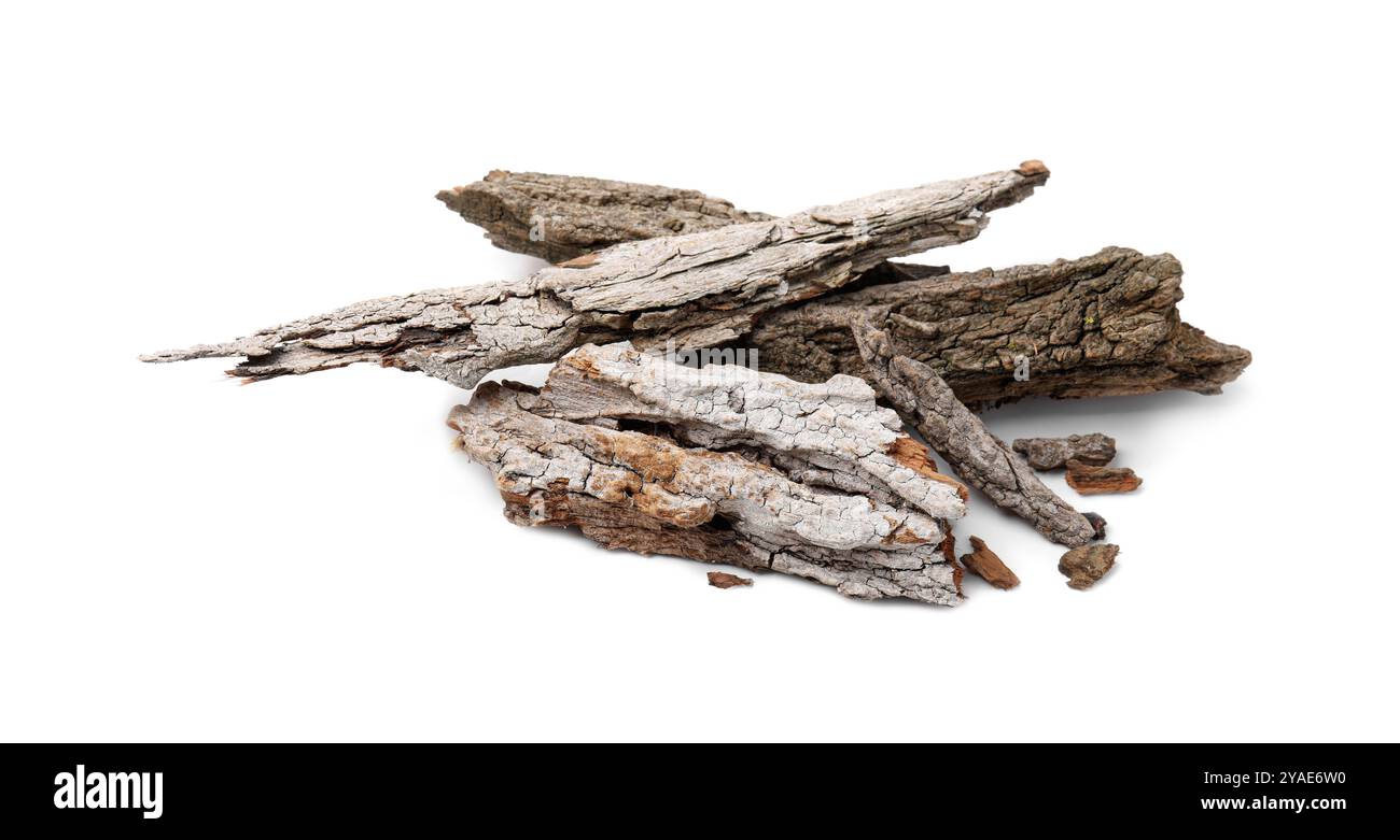 Tree bark pieces hi-res stock photography and images - Alamy