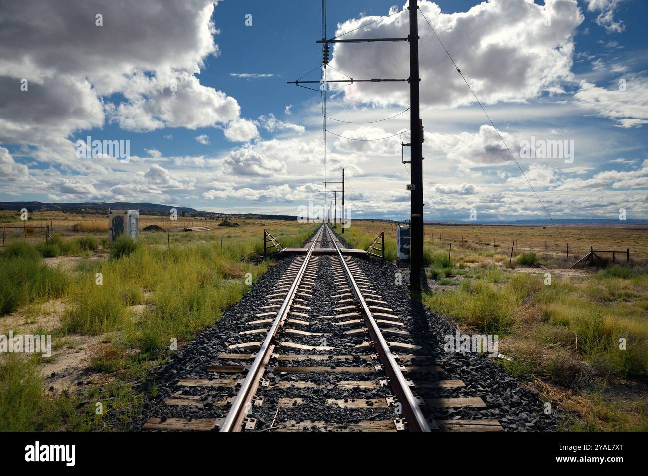 Railroad tracks vanishing point hi-res stock photography and images - Alamy