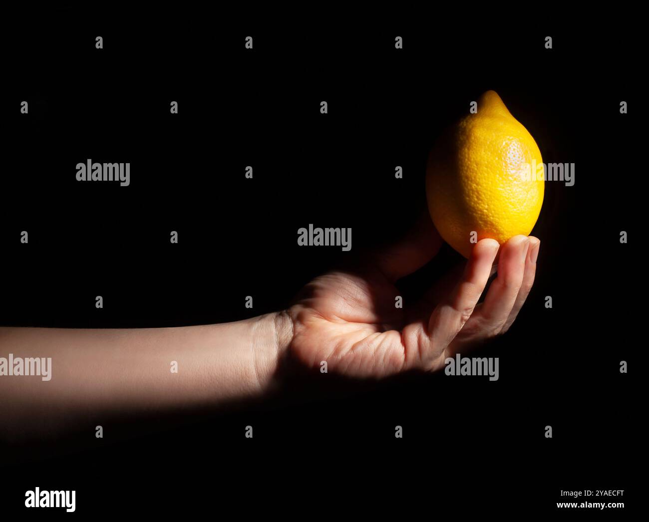 Hand holding lemon fruit hi-res stock photography and images - Alamy