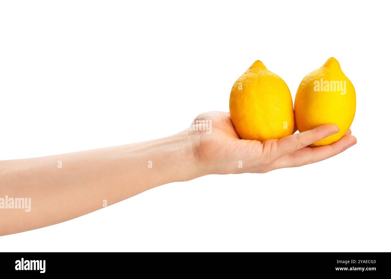 lemon in hand path isolated on white Stock Photo - Alamy