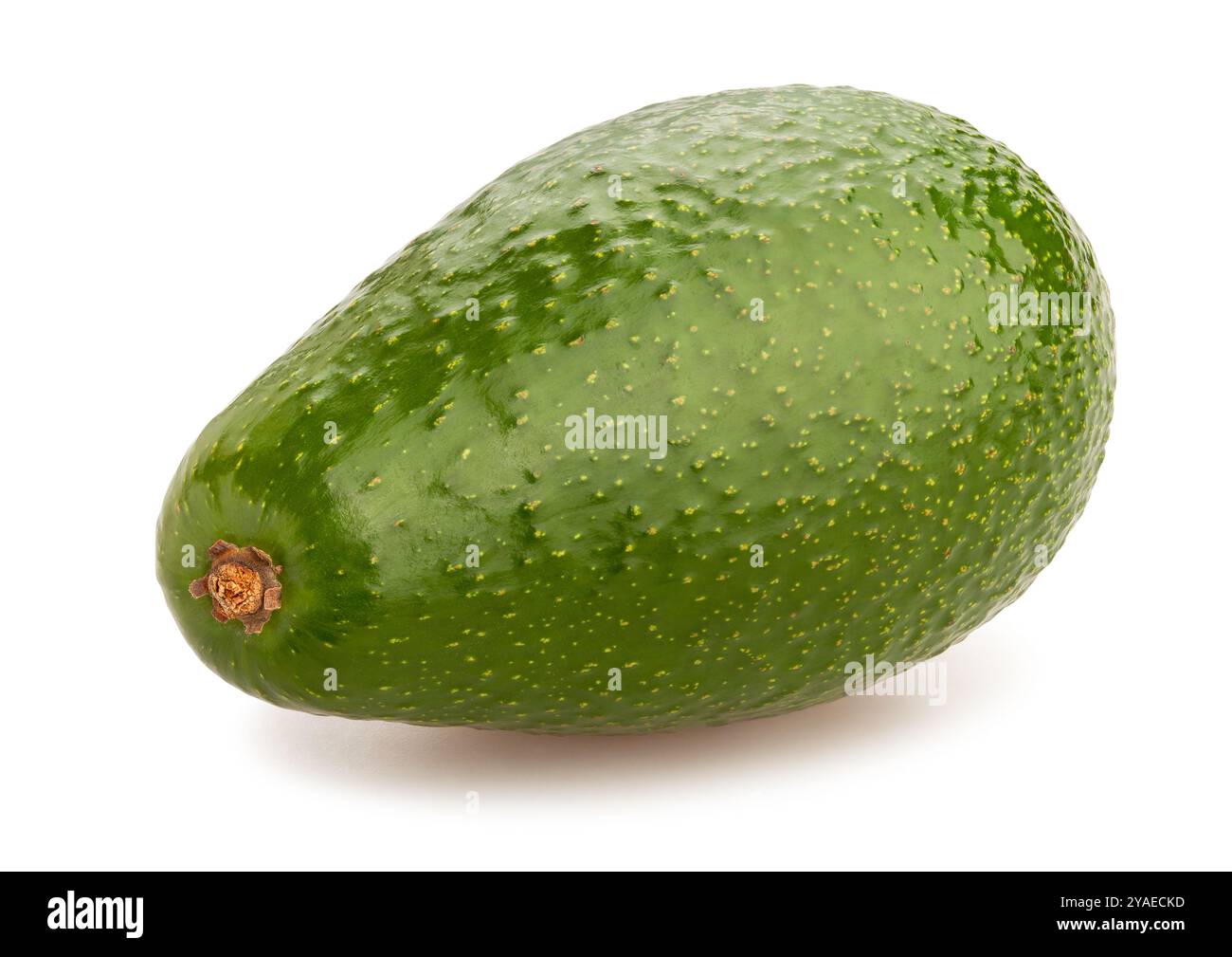 One avocado Cut Out Stock Images & Pictures - Alamy