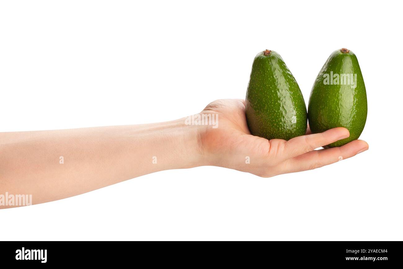 Avocado hand Cut Out Stock Images & Pictures - Alamy