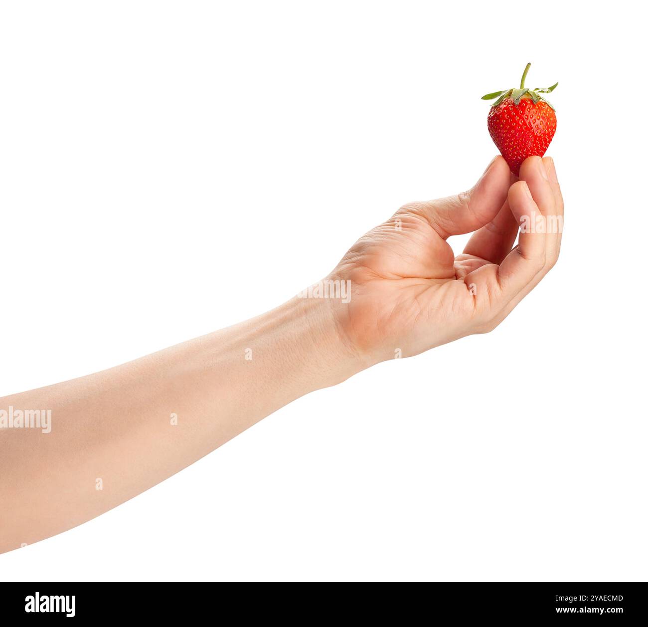 strawberry in hand path isolated on white Stock Photo - Alamy