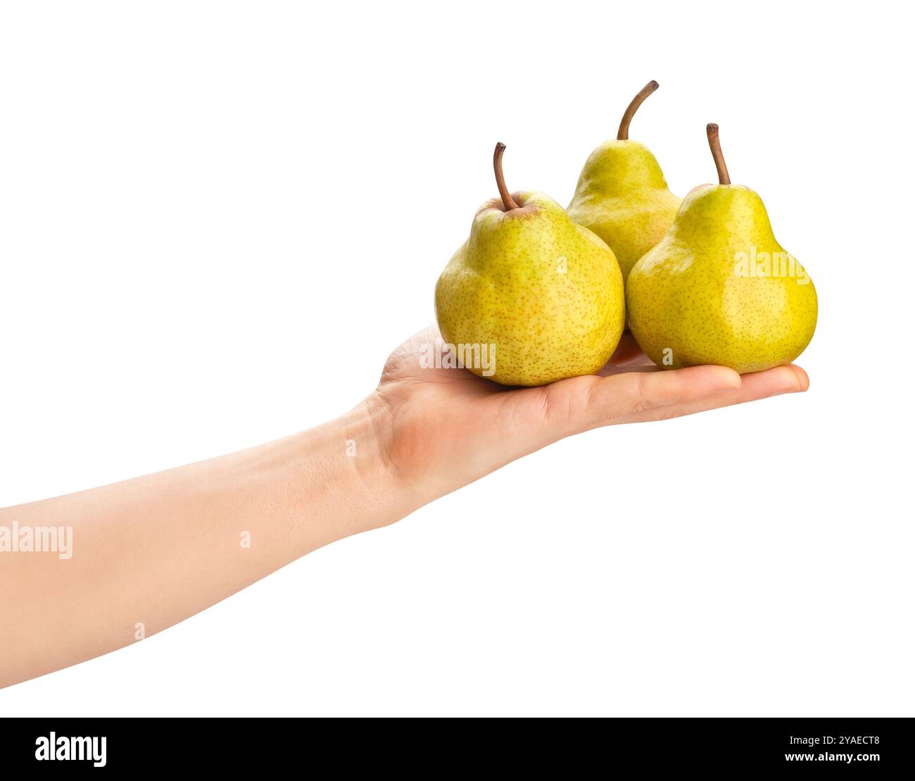 pear in hand path isolated on white Stock Photo - Alamy
