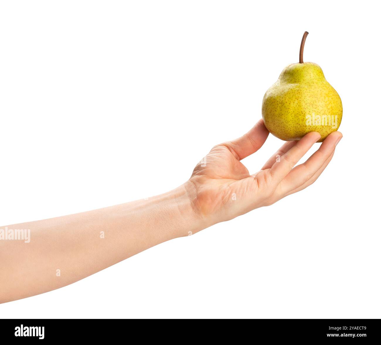 Hand holding pears on green hi-res stock photography and images - Alamy