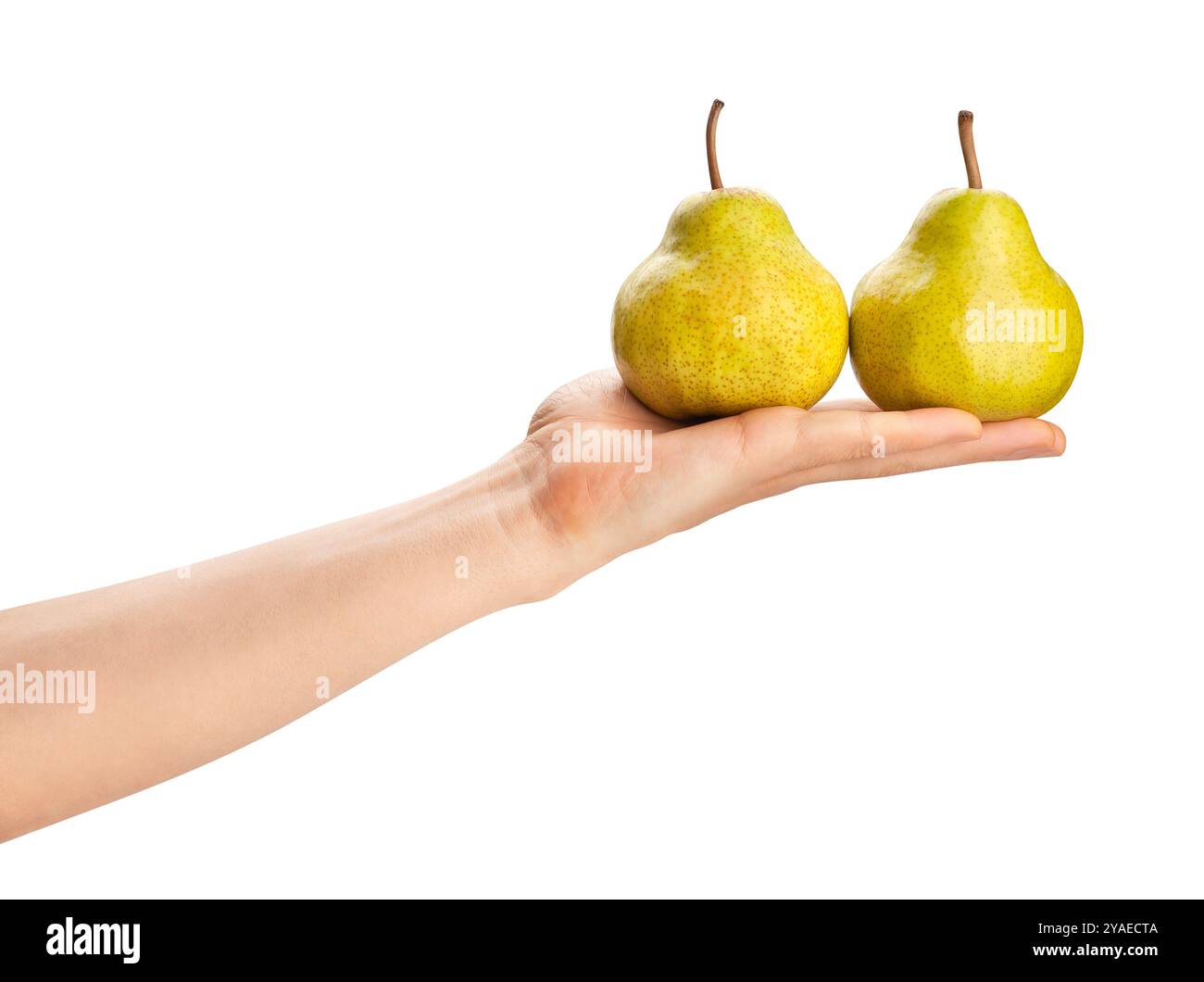 pear in hand path isolated on white Stock Photo - Alamy