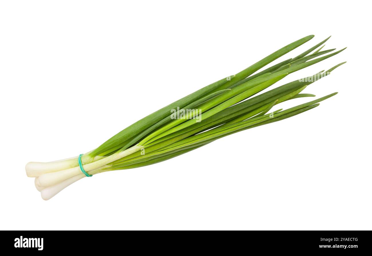 White scallion hi-res stock photography and images - Alamy