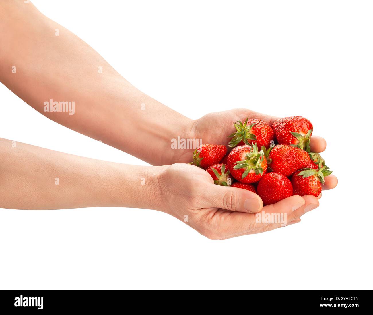 strawberries in hand path isolated on white Stock Photo - Alamy