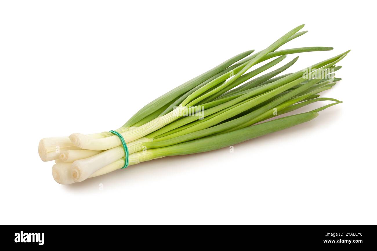 White scallion hi-res stock photography and images - Alamy