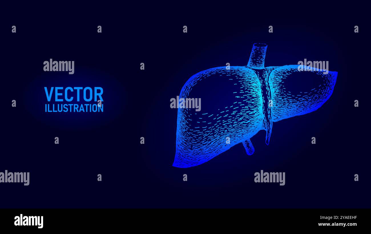 Drawing line art anatomical human liver silhouette. Healthy medicine ...