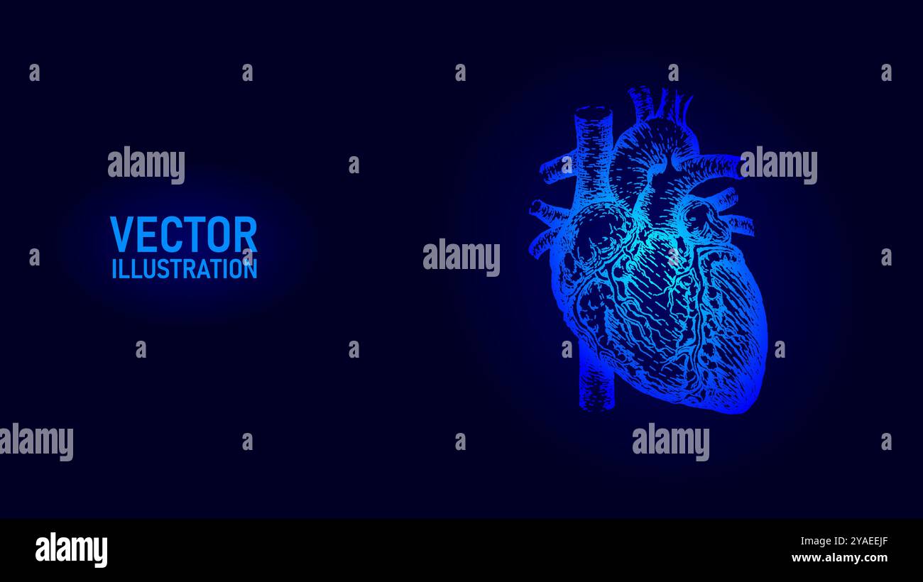 Human healthy heart 3d line art. Ink sketch medicine model. Pulse ...