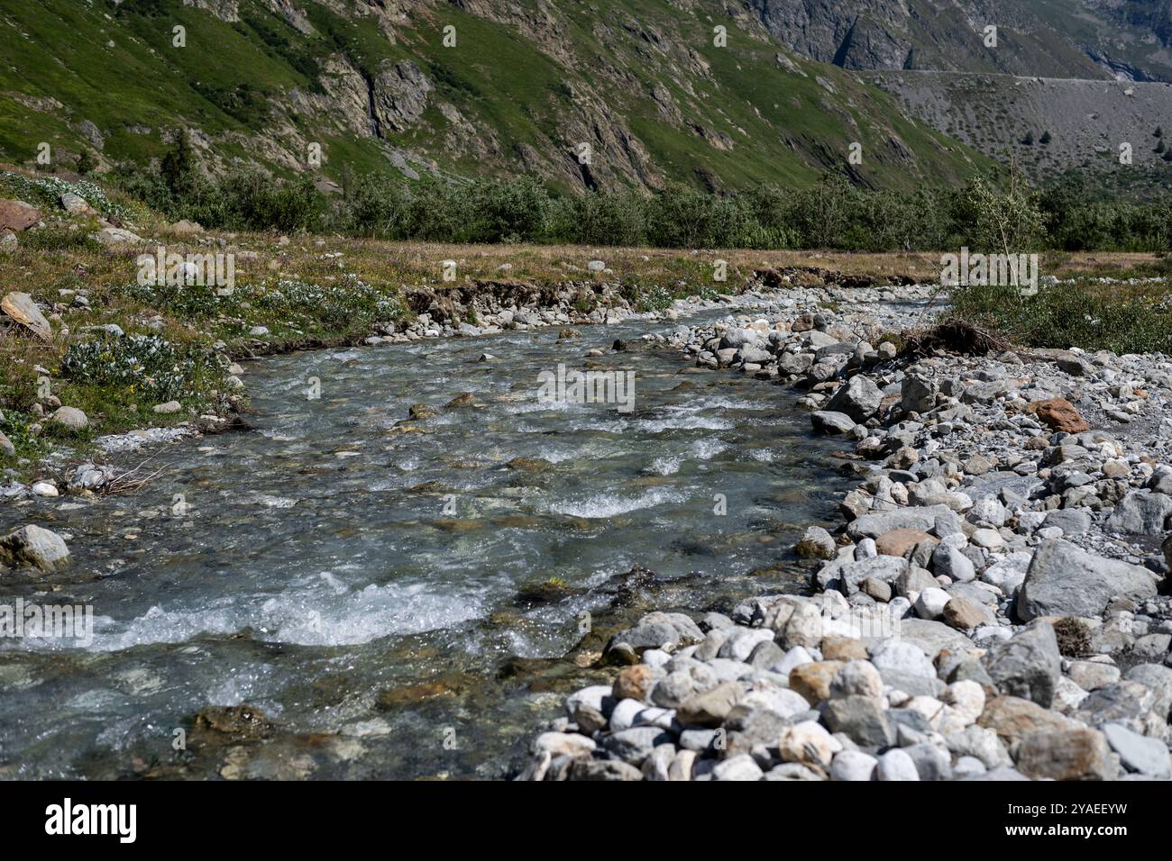 The mountain stream in the Aosta Valley in Italian Alps Stock Photo - Alamy