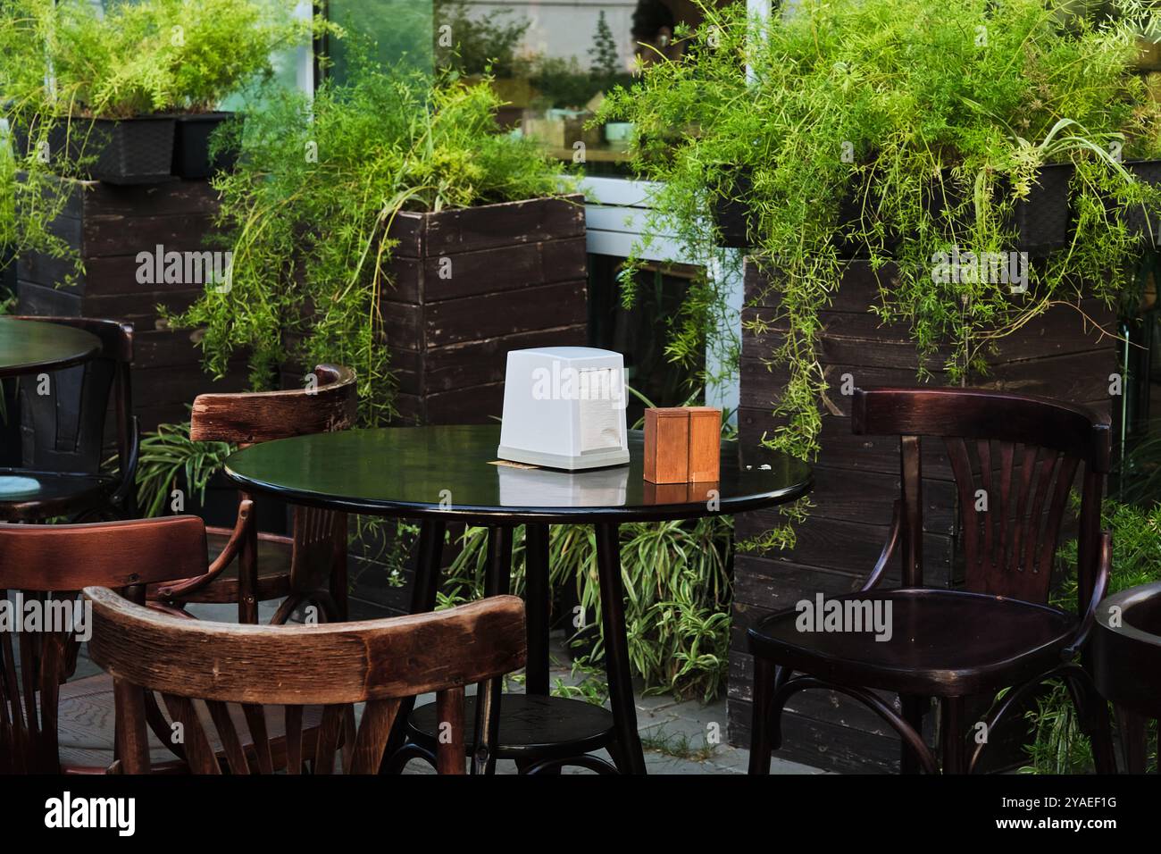 Weathered Wooden Chairs in Cozy Garden Setting. Vintage style Stock ...