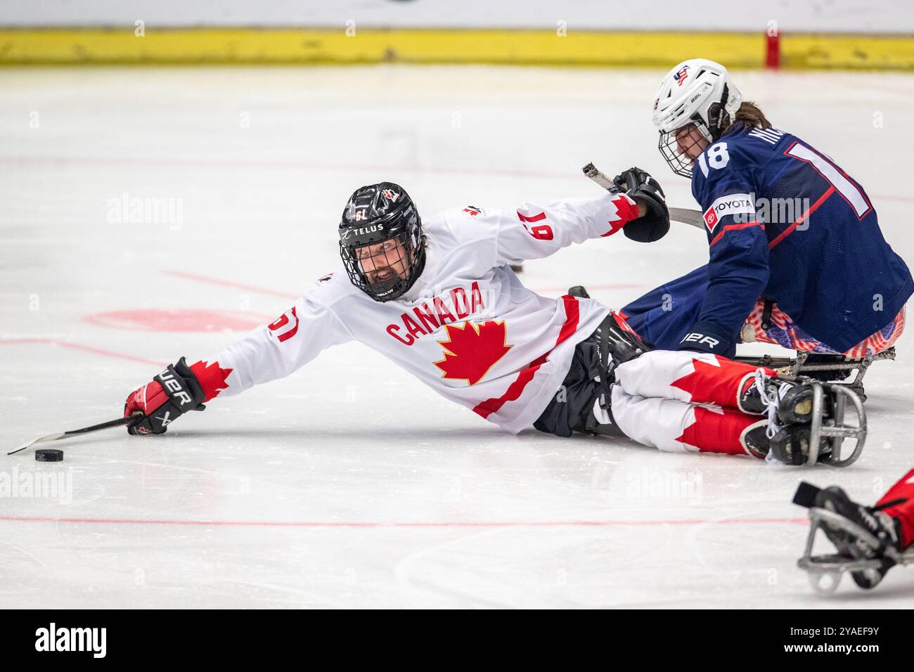 Rob armstrong hi-res stock photography and images - Alamy