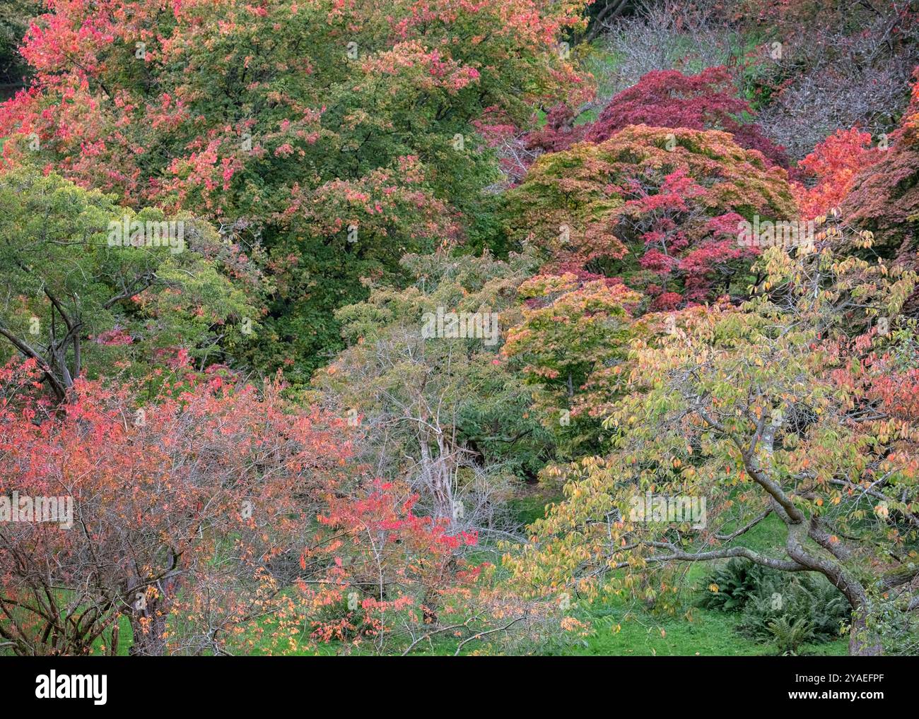 Surrey hills autumn hi-res stock photography and images - Alamy