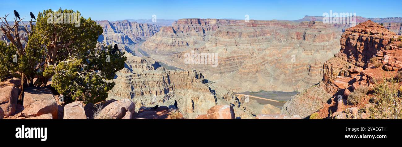 The Grand Canyon - steep-sided canyon carved by the Colorado River in ...